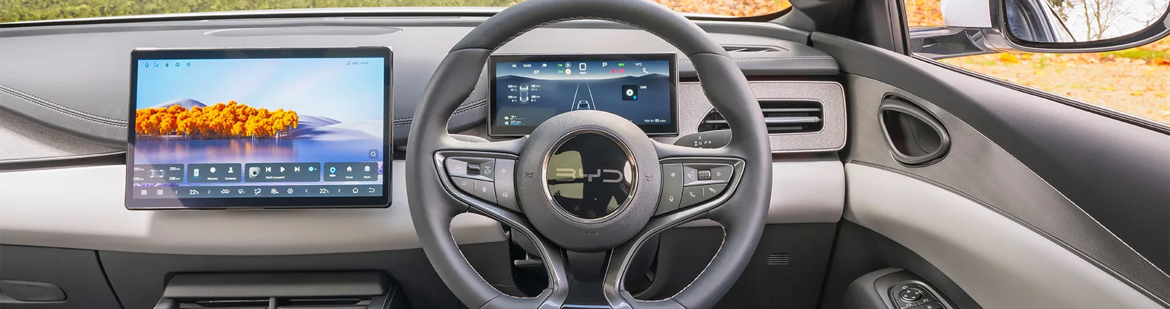 BYD app features - City West Country